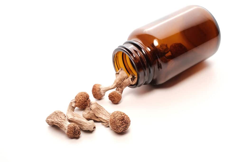 How Long Do Shrooms Last? - Illinois Recovery Center