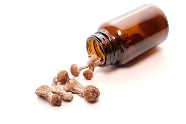 Psilocybin Mushroom Addiction Treatment in Illinois - Illinois Recovery ...